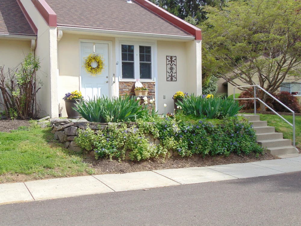 Friends Village - Life With Purpose