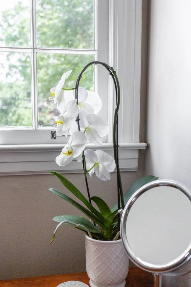 Decorating with Natural Materials — Nashville Sustainable Interior ...