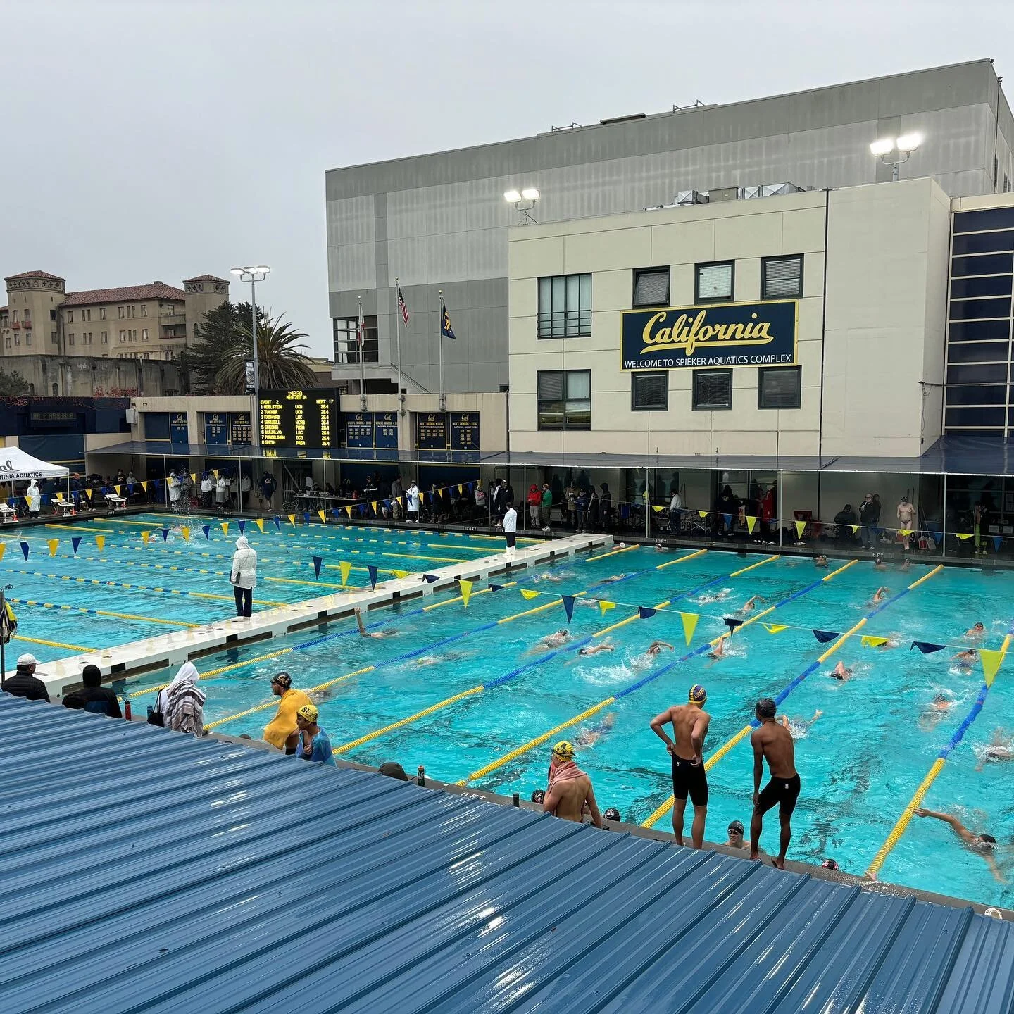 Gallery — AC Swim Club