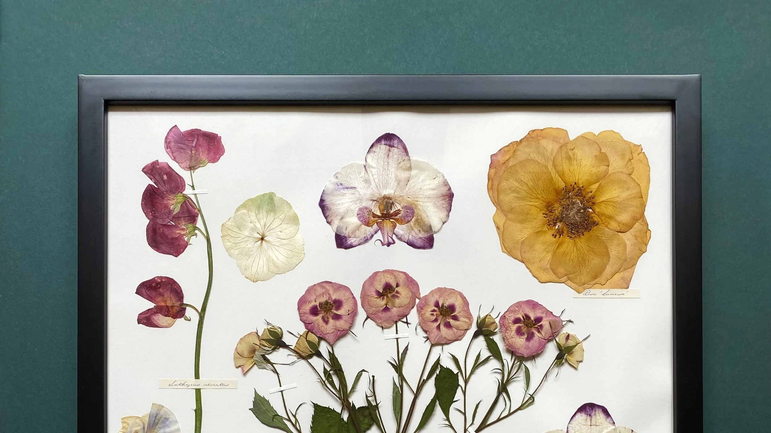 Lydia Florence Flowers