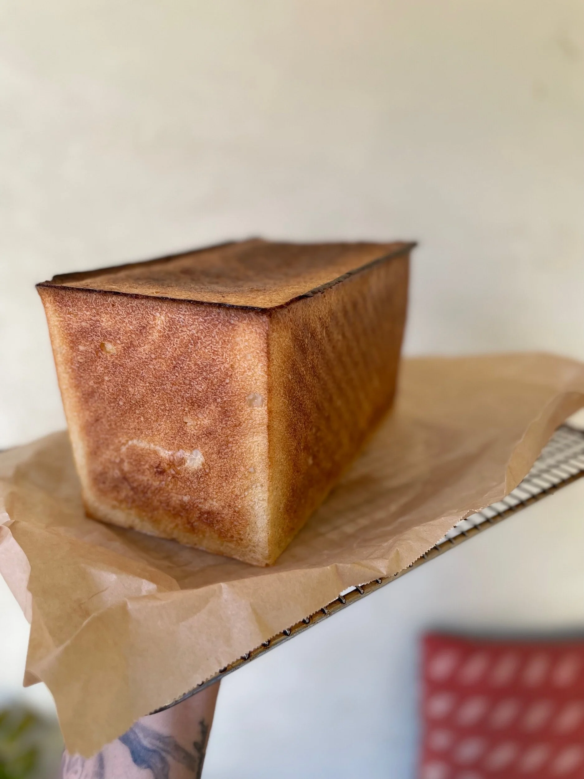 PRE-ORDER — Milk Belly Bakery