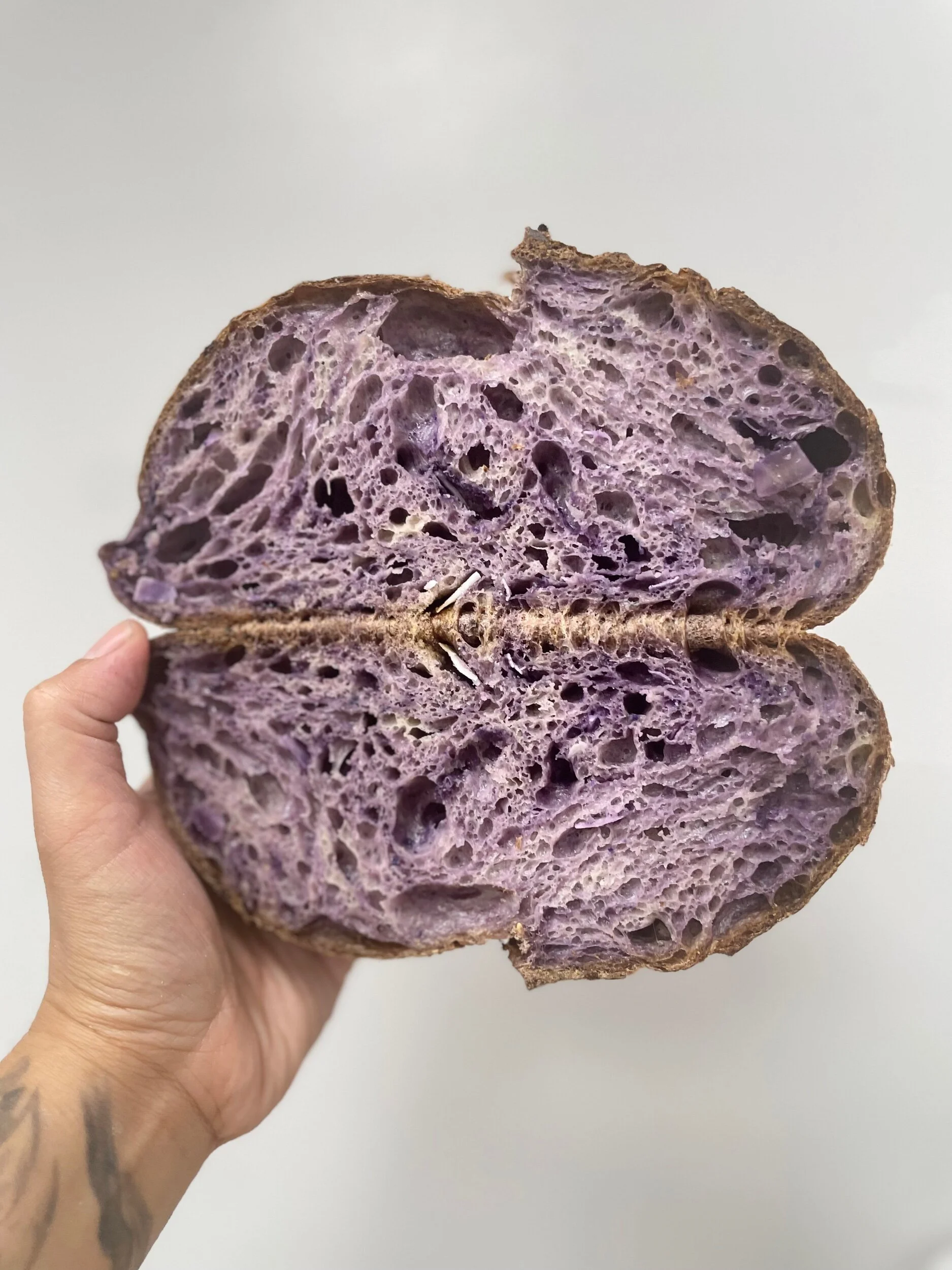 PRE-ORDER — Milk Belly Bakery