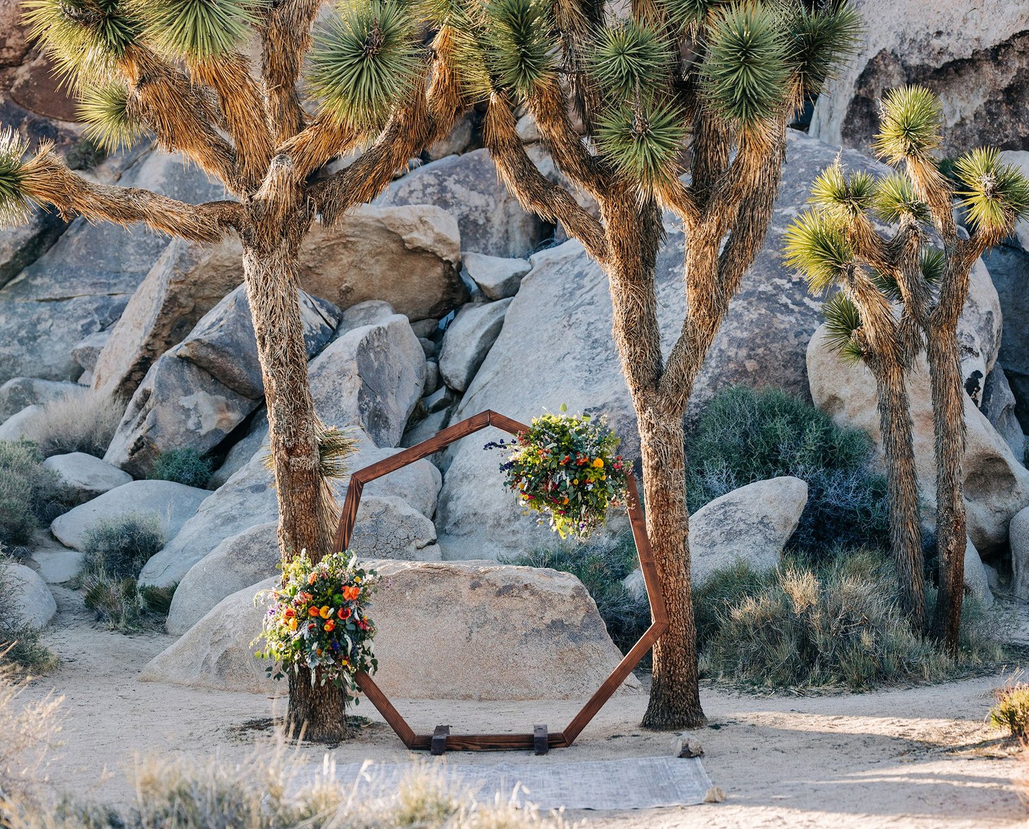 Stylish Cap Rock Elopement in Joshua Tree NP — Love and Latitudes ...