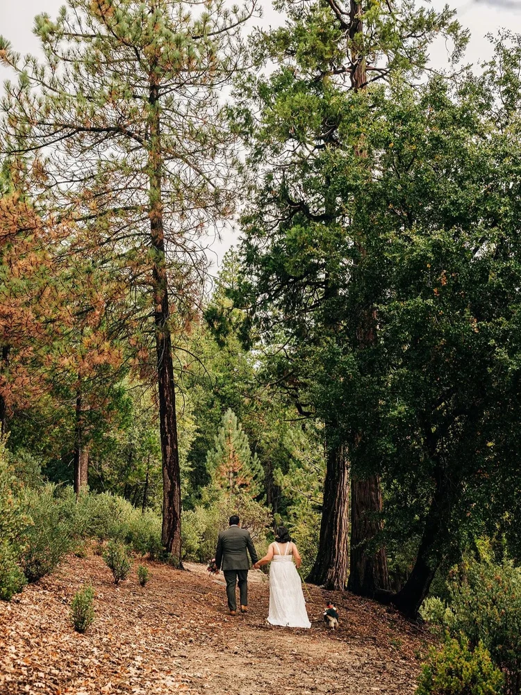How to Have a Wedding or Elopement in Idyllwild — Love and Latitudes ...