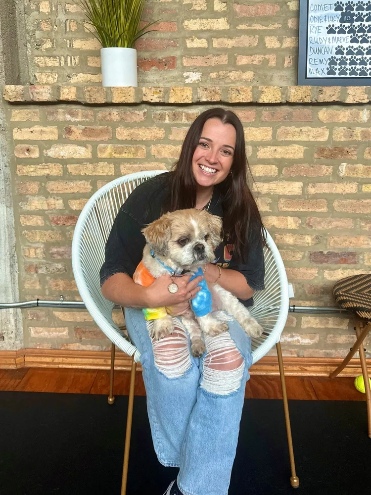 About Copilot Dog Training Chicago — Copilot Dog Training