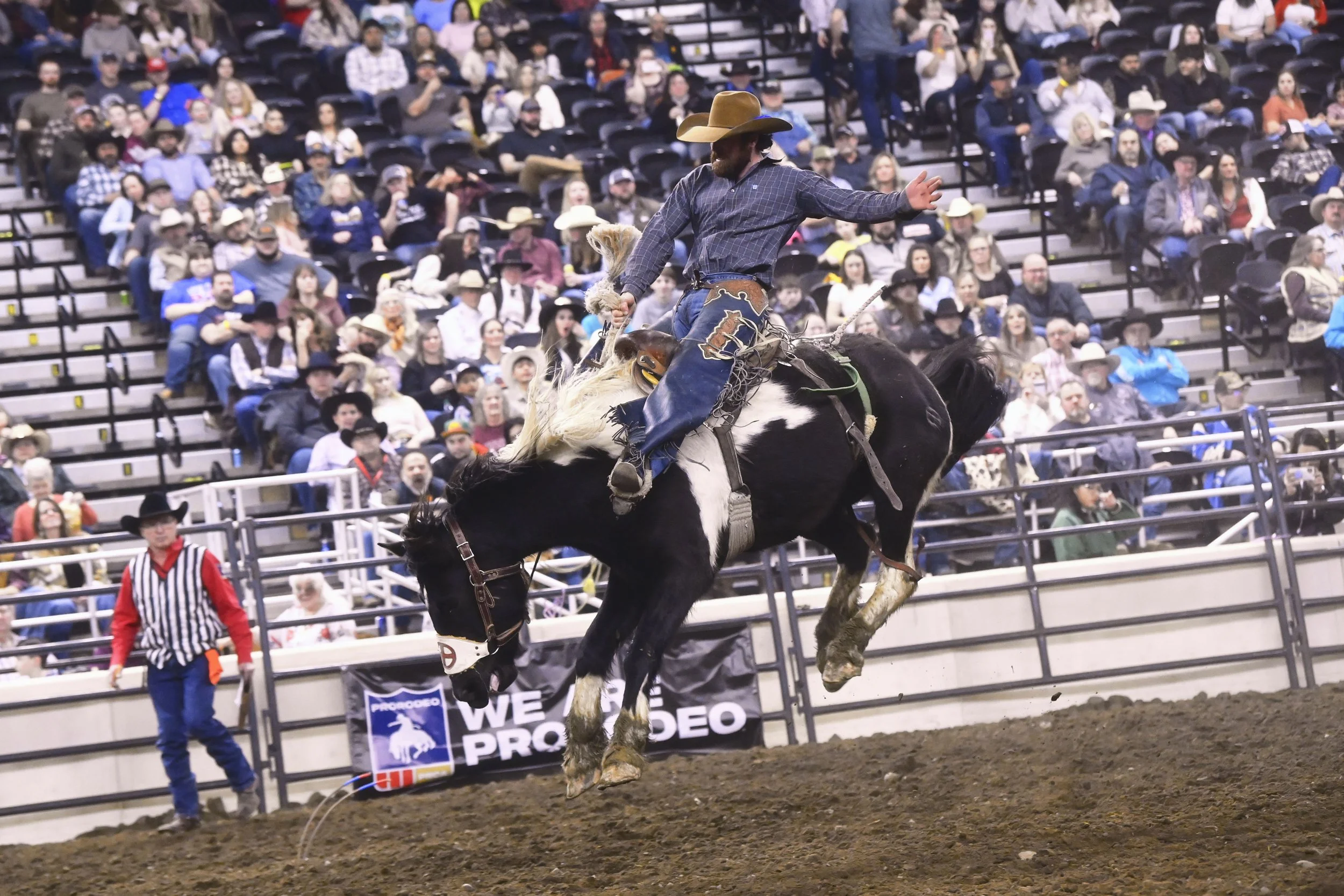 Indoor Series Rodeos — Ace's Wild ProRodeo
