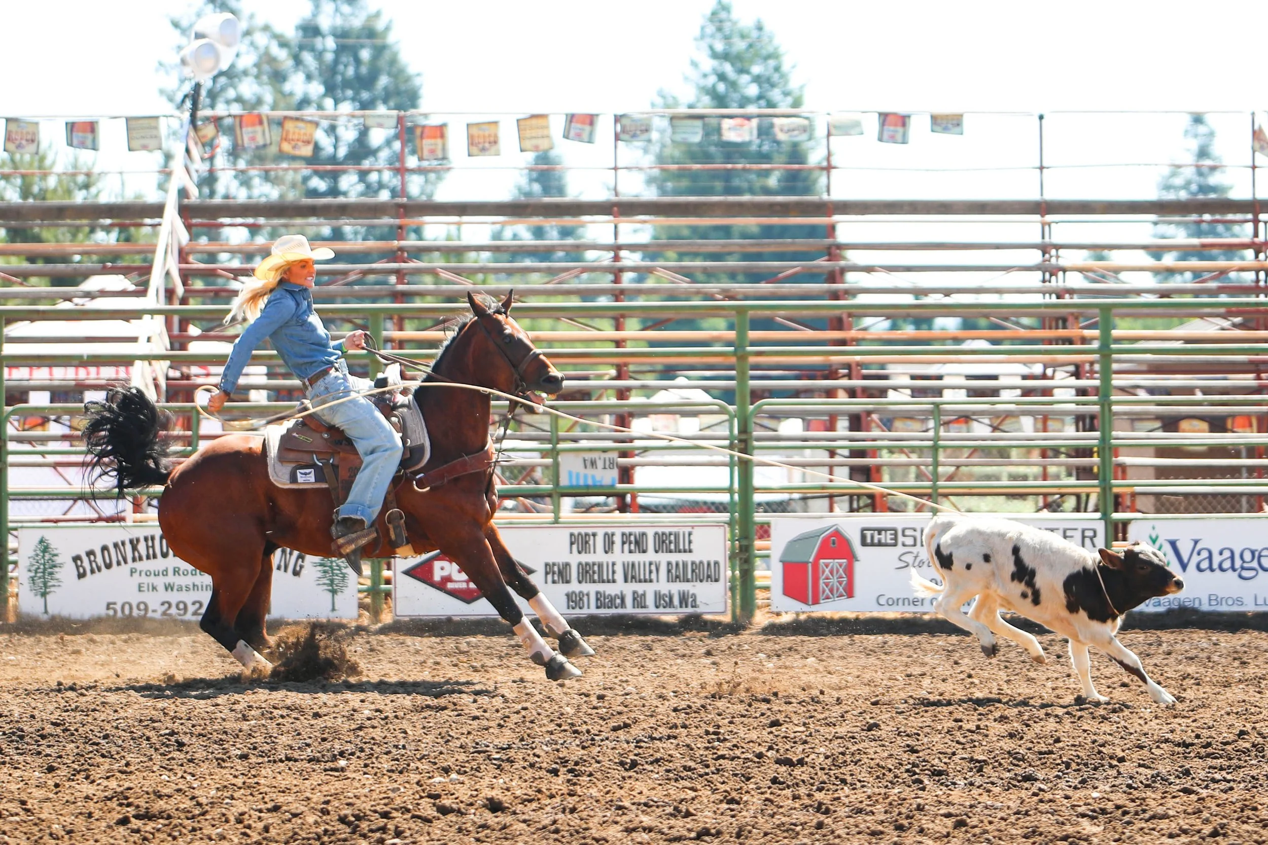 About — Ace's Wild ProRodeo