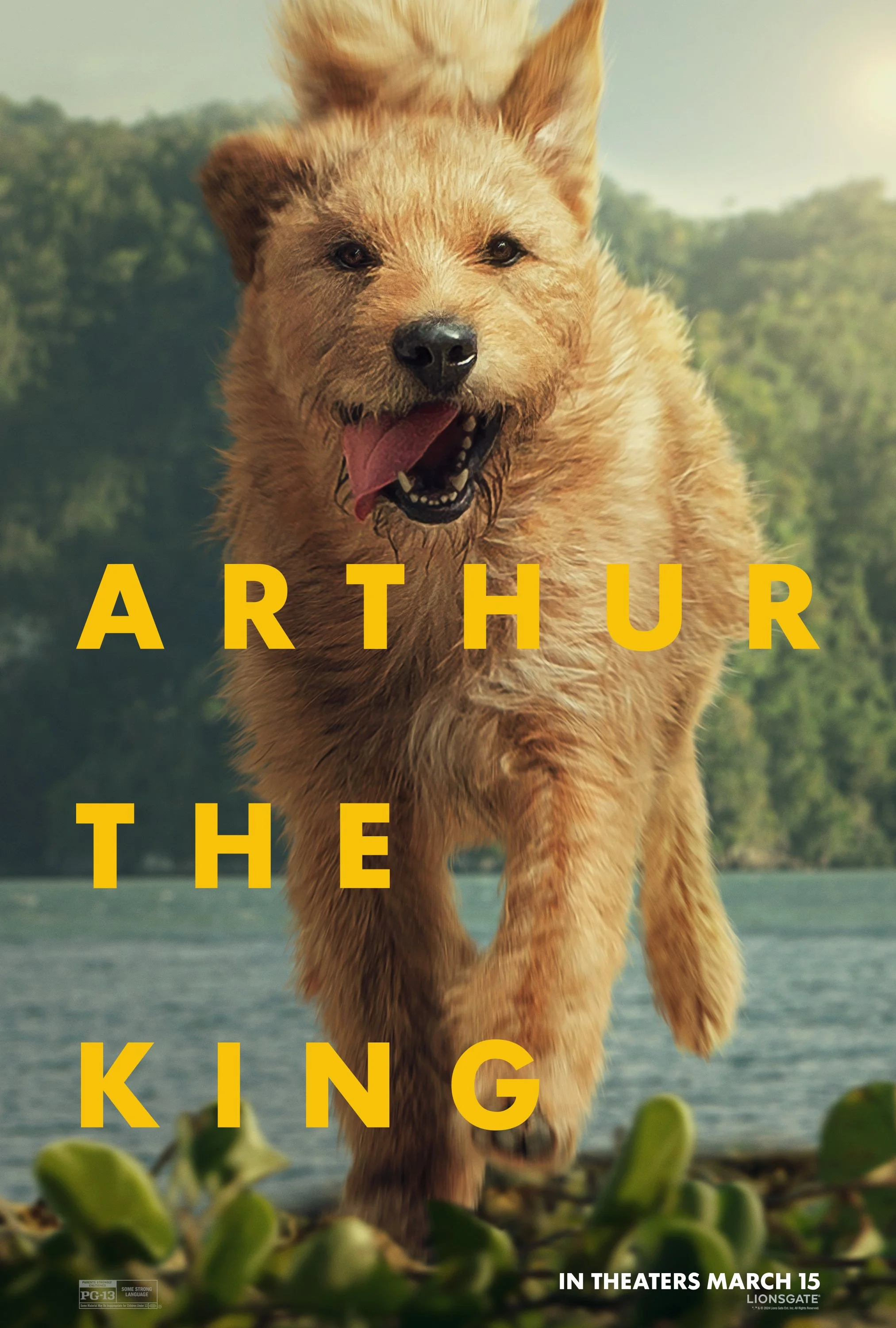 An In-Depth Look Into The Movie ‘Arthur The King’ — Entertainment ...
