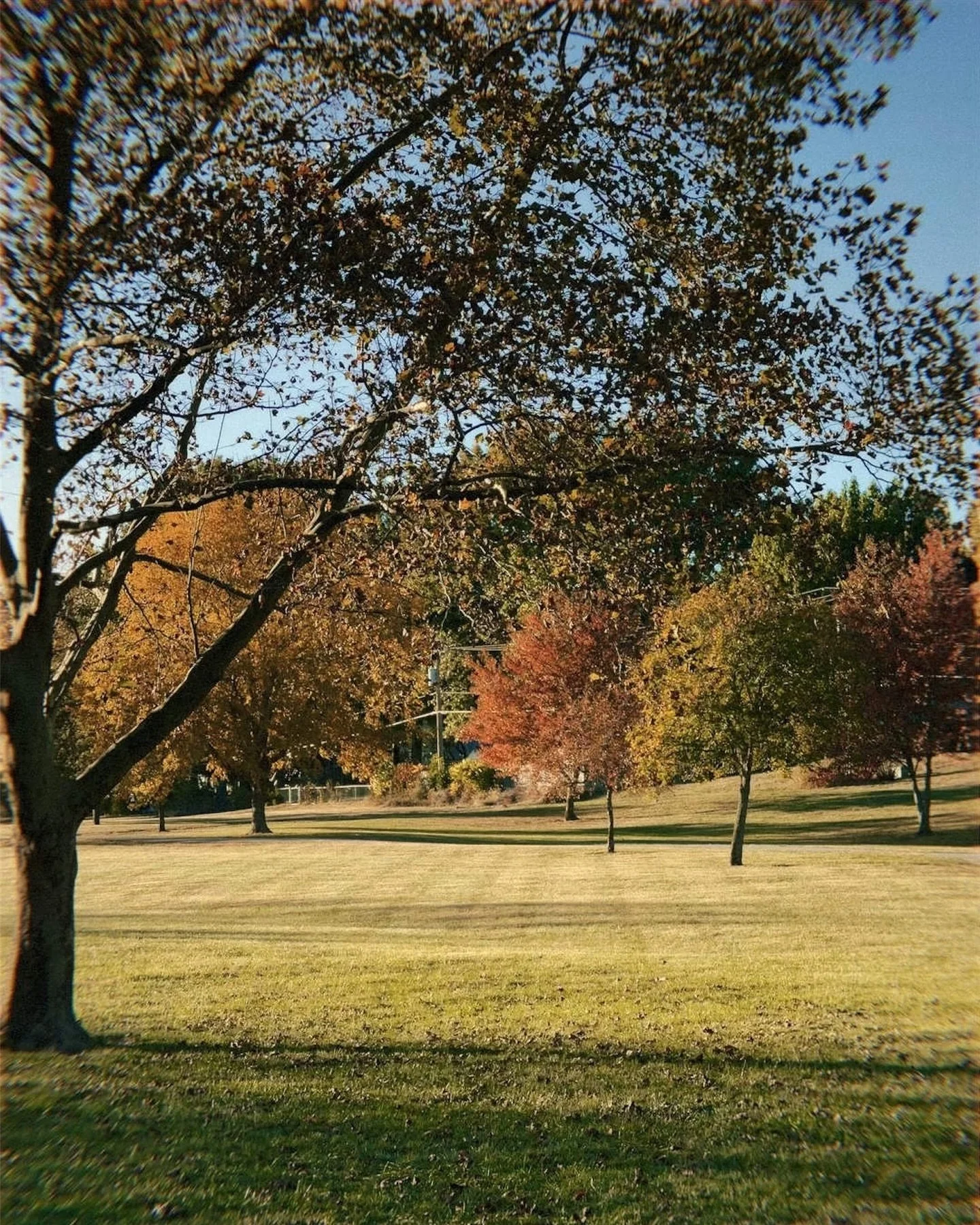Handmade pottery by Zhané