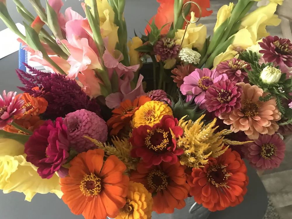 Little Roots Flower Farm