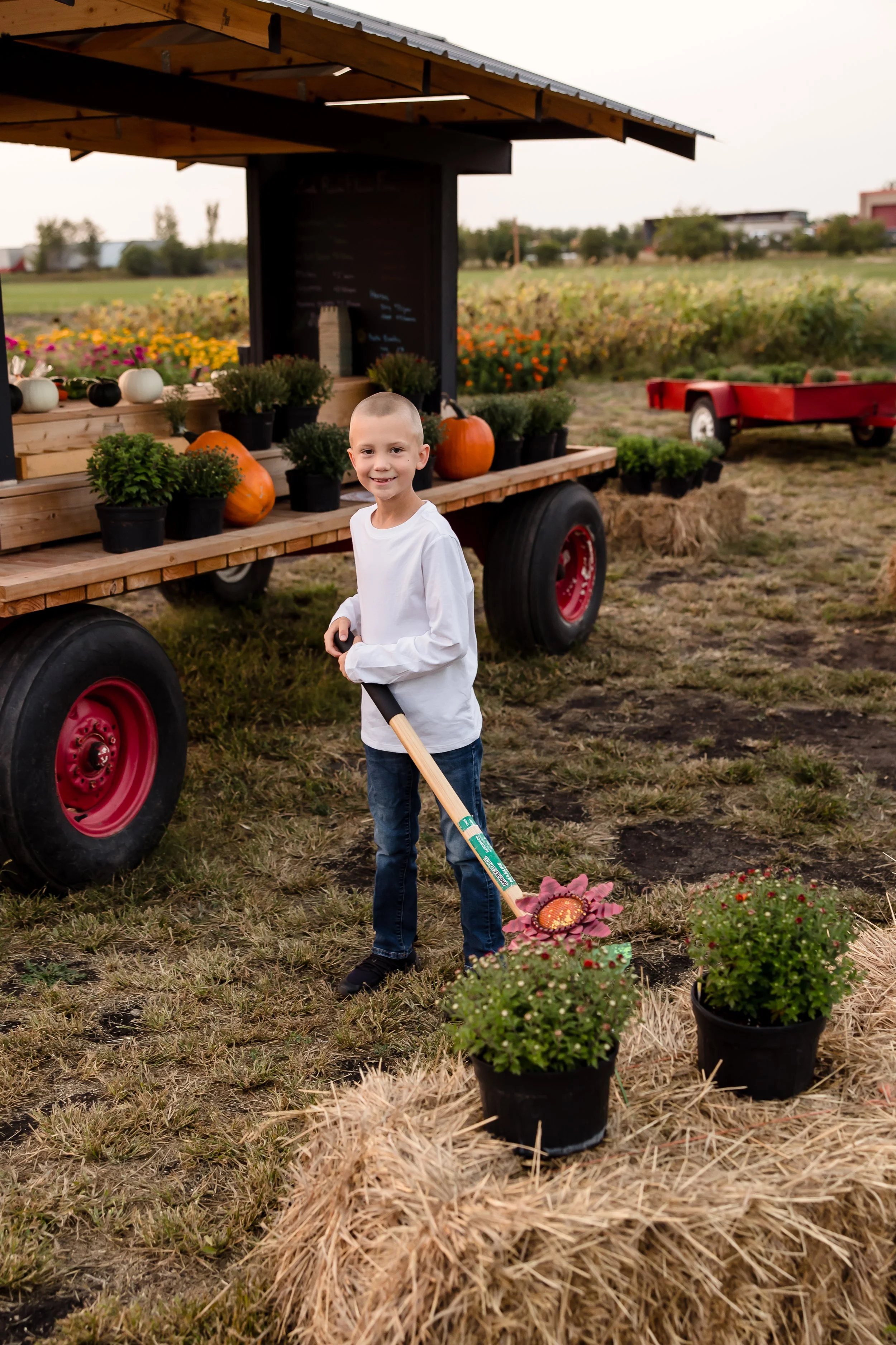Photography — Little Roots Flower Farm