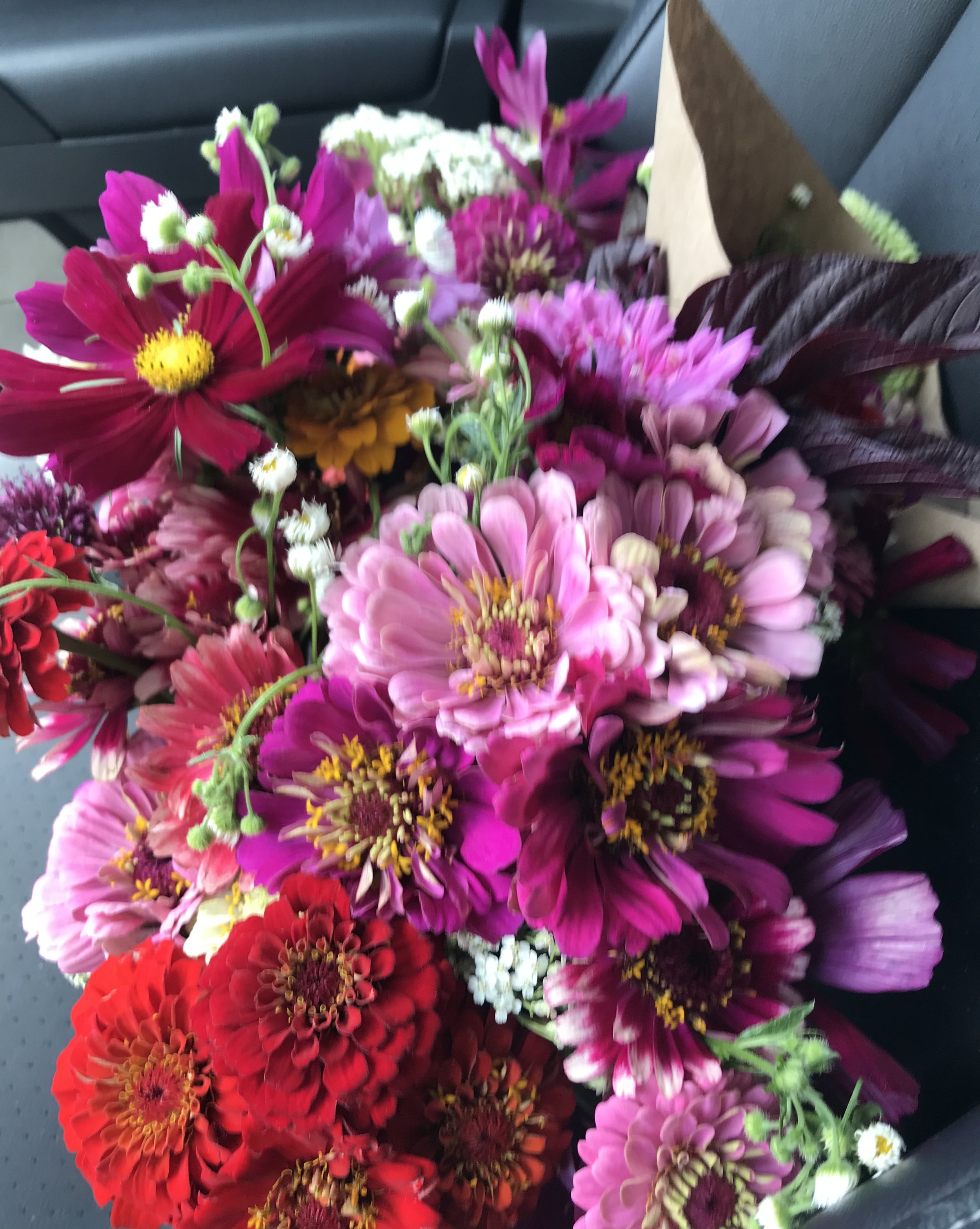 Little Roots Flower Farm