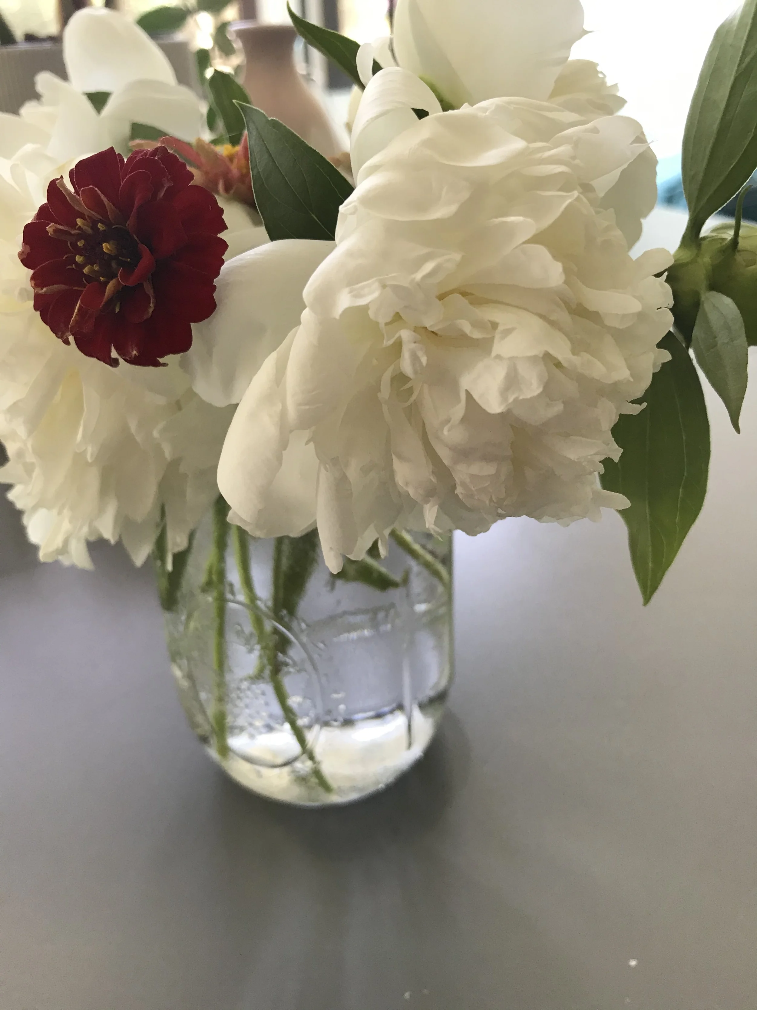 Little Roots Flower Farm