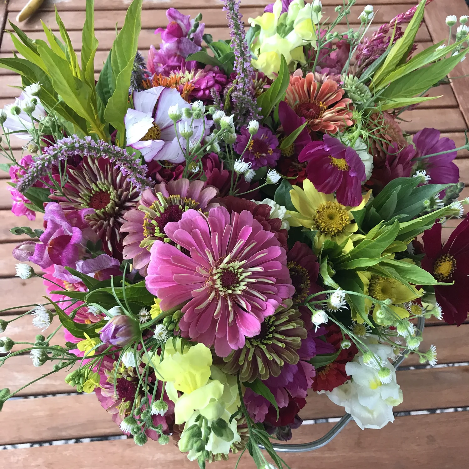 Little Roots Flower Farm