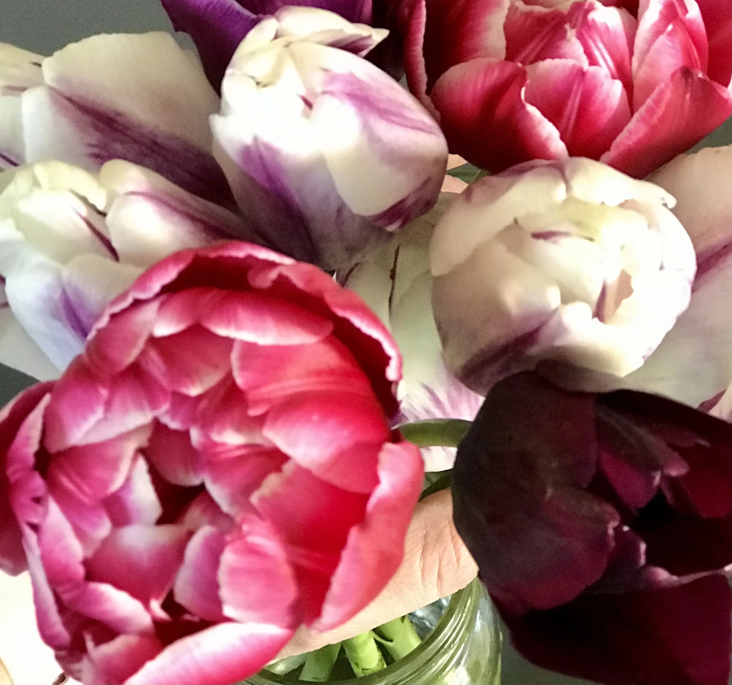 Little Roots Flower Farm