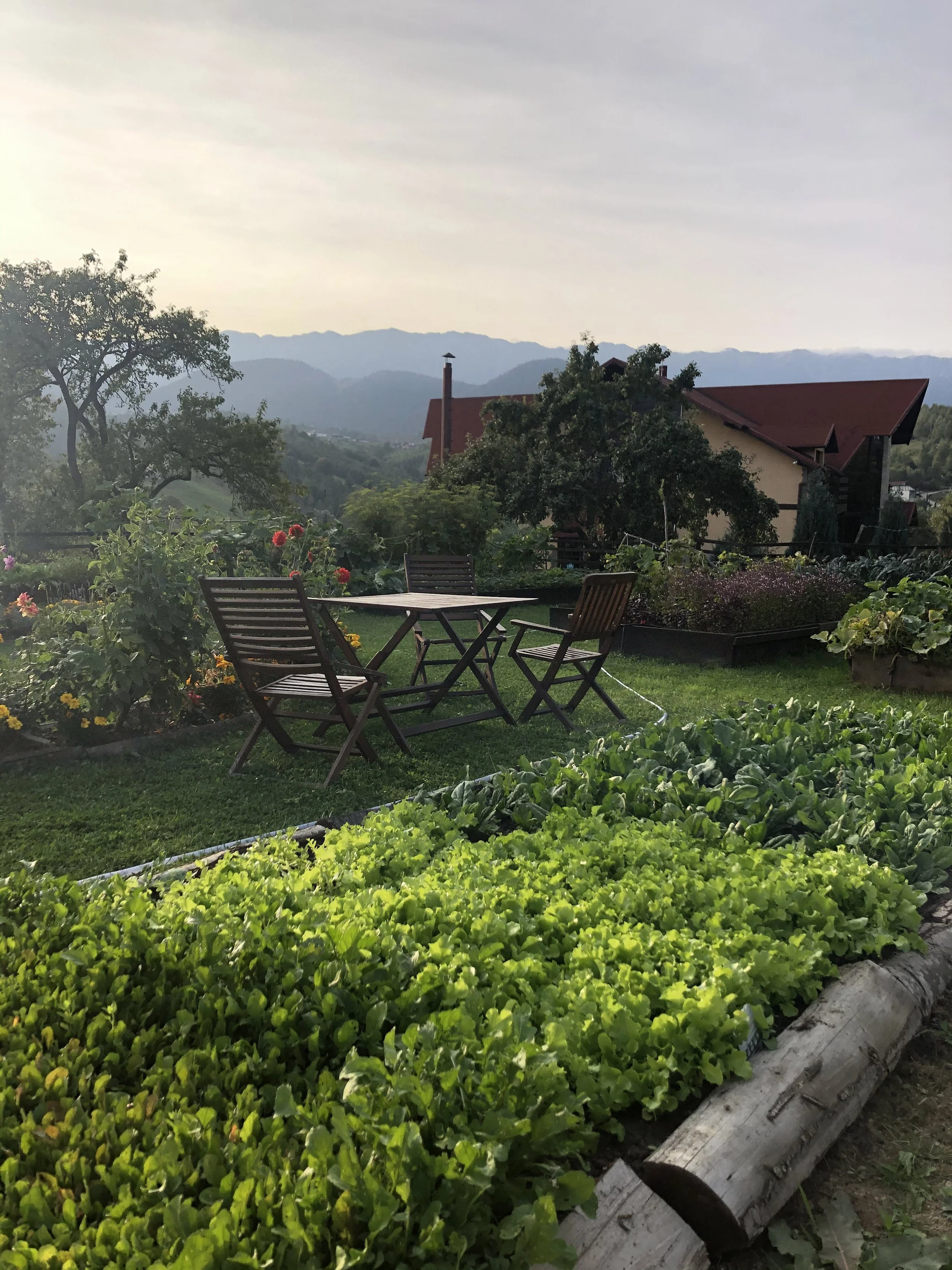 Akasha Wellness Retreat | Personalised Wellness Programmes