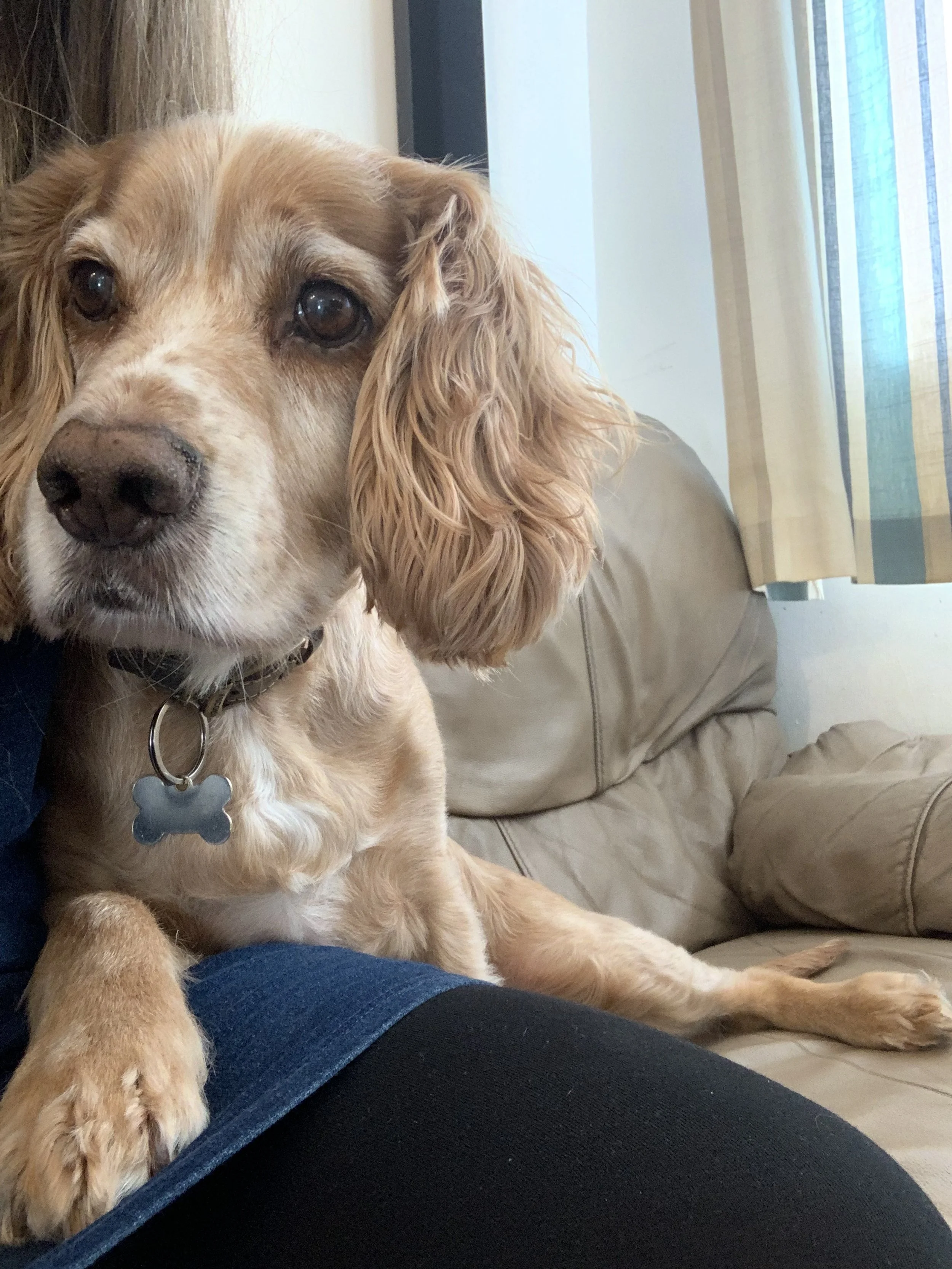 Meet the Team | Get to Know Us — Motivational Speaker - Dr Alison Edgar MBE