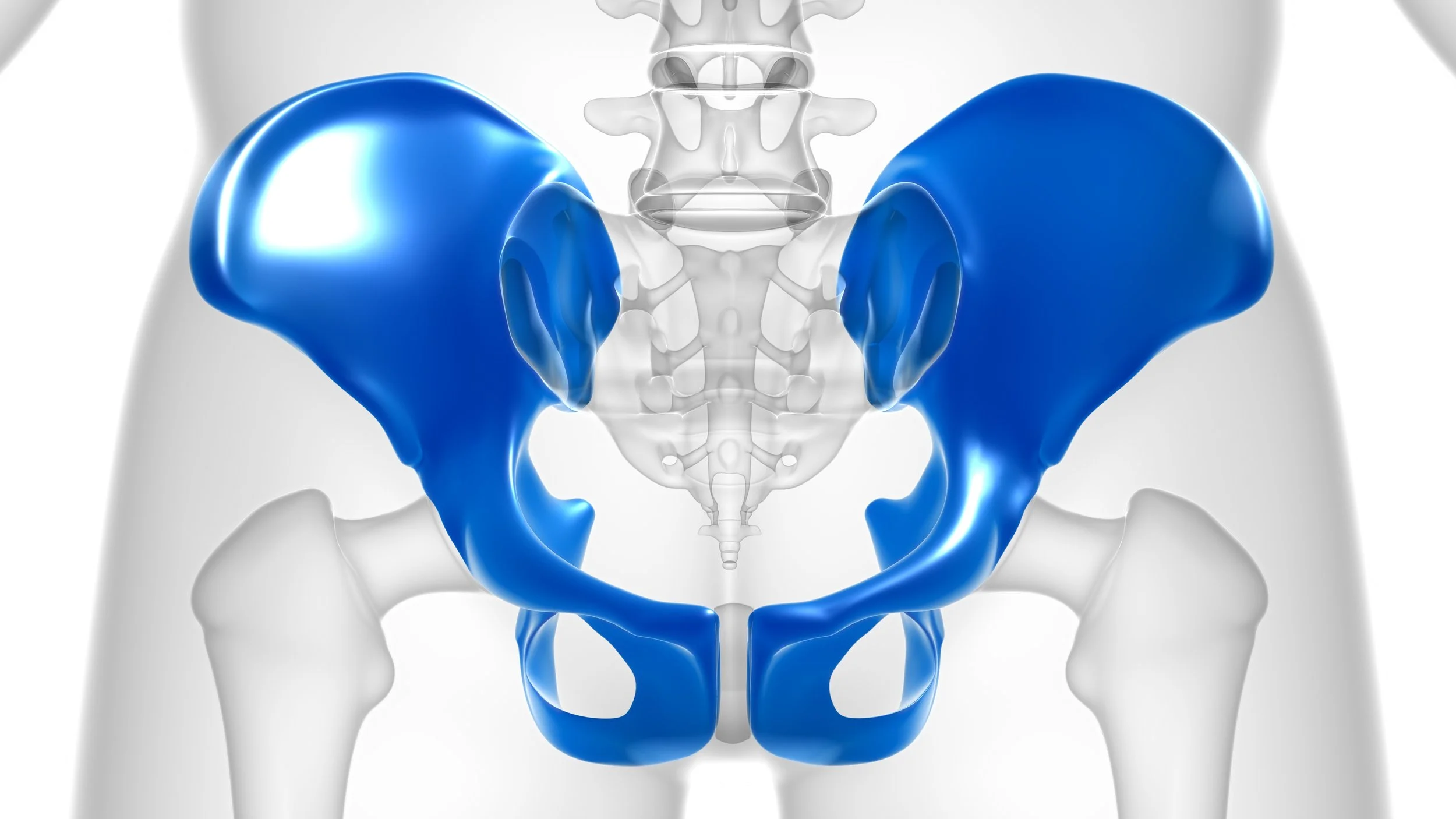 Bassin et hanche — Service d'orthopédie du CIUSSS de l'Estrie - CHUS