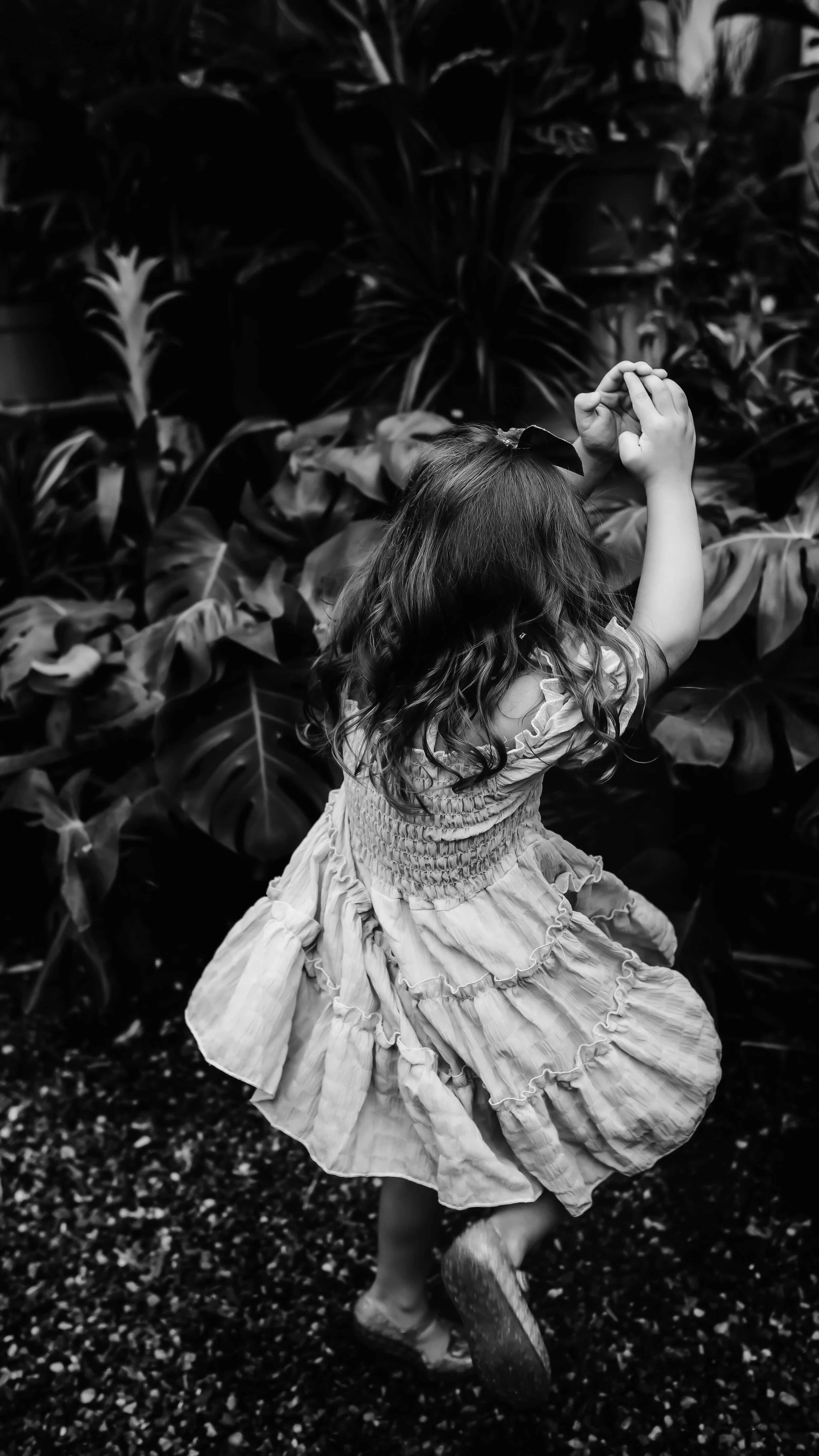 What Is A Mini Session Brittany Reyes what-is-a-mini-session-brittany-reyes