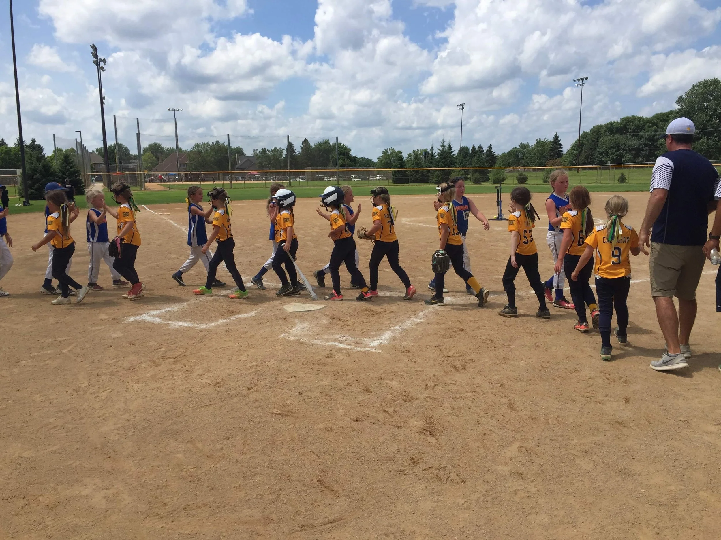 Rosemount Area Athletic Association