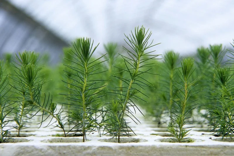 Canadian Kraft Sales & Marketing