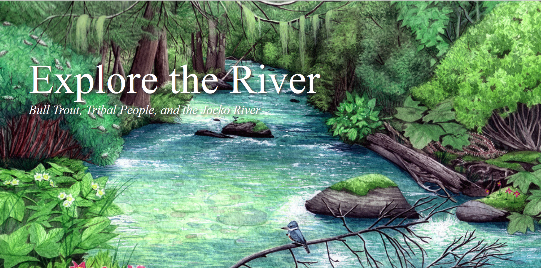 Confederated Salish & Kootenai Tribes — Living in Flathead