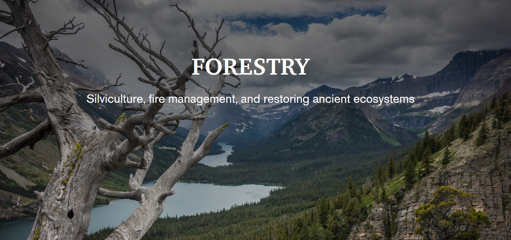 Confederated Salish & Kootenai Tribes — Living in Flathead
