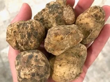 Products — Virginia Truffles