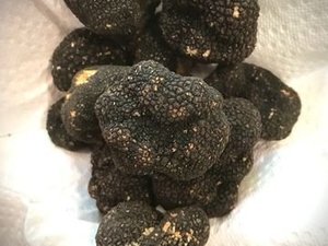 Products — Virginia Truffles
