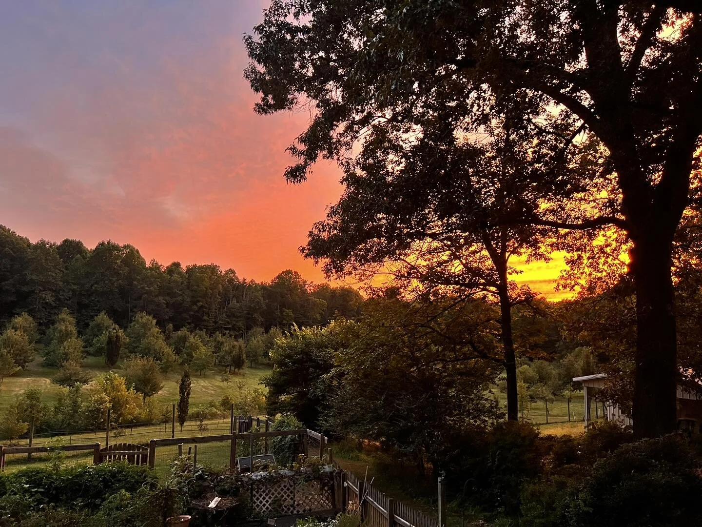 Virgina Truffles, LLC | Black Perigord Truffles