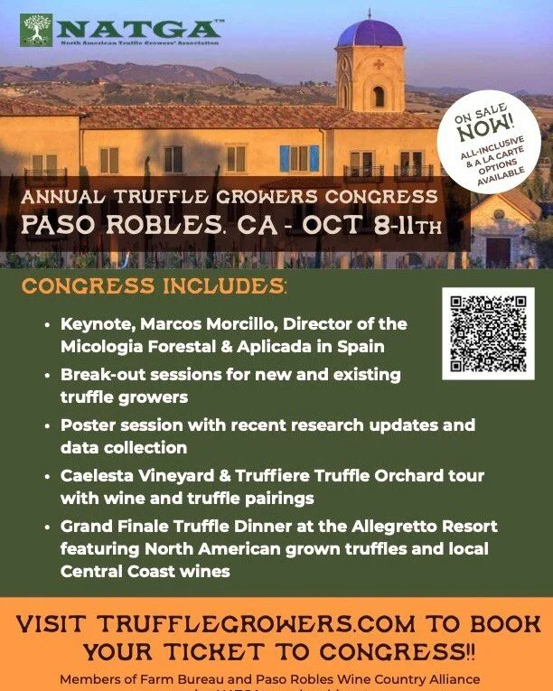 Virgina Truffles, LLC | Black Perigord Truffles