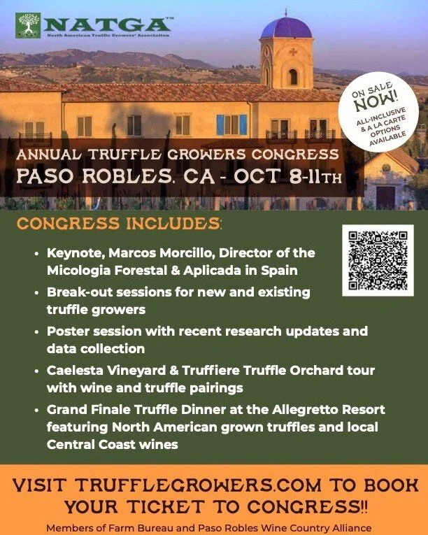 Virgina Truffles, LLC | Black Perigord Truffles