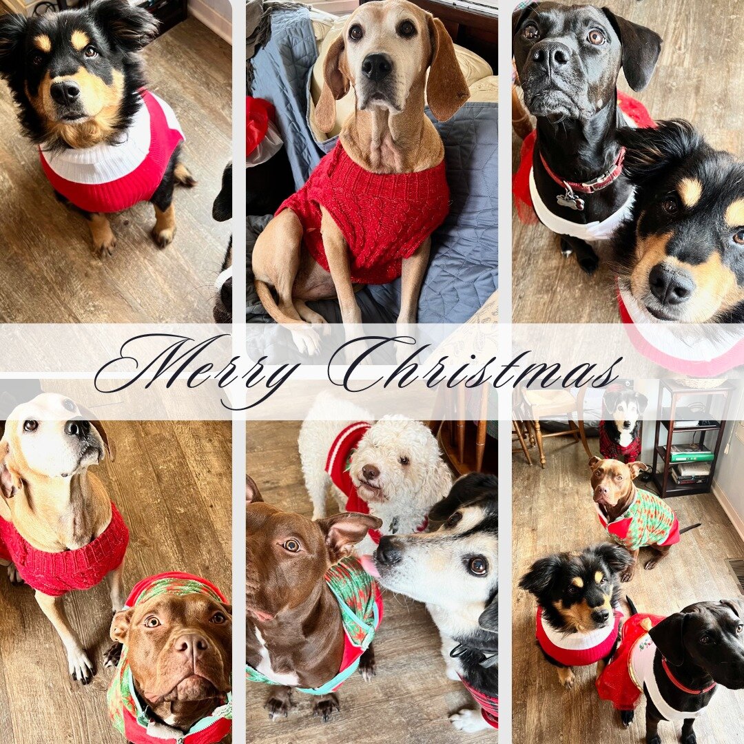 Virgina Truffles, LLC | Black Perigord Truffles