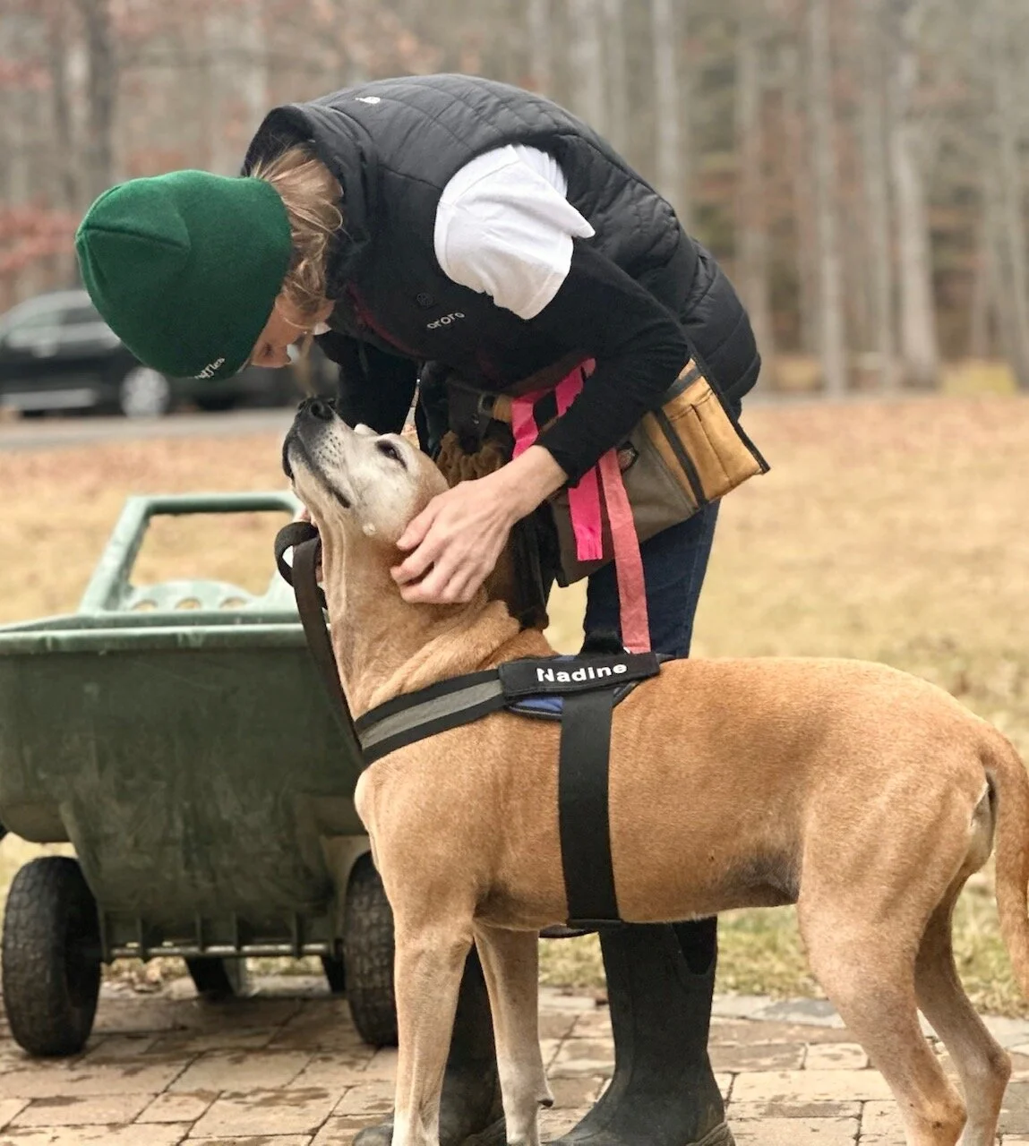 Virgina Truffles, LLC | Black Perigord Truffles