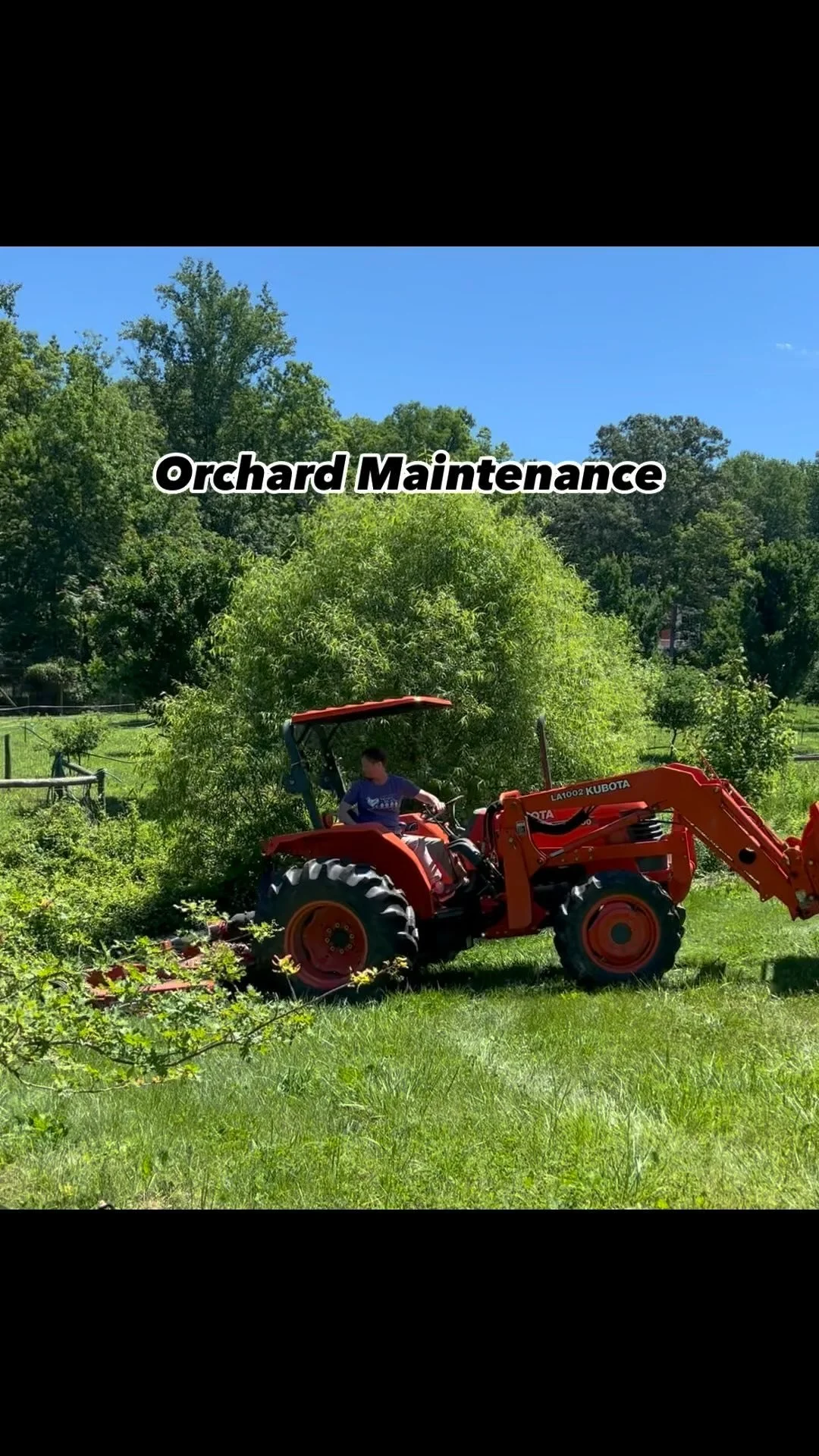 Virgina Truffles, LLC | Black Perigord Truffles