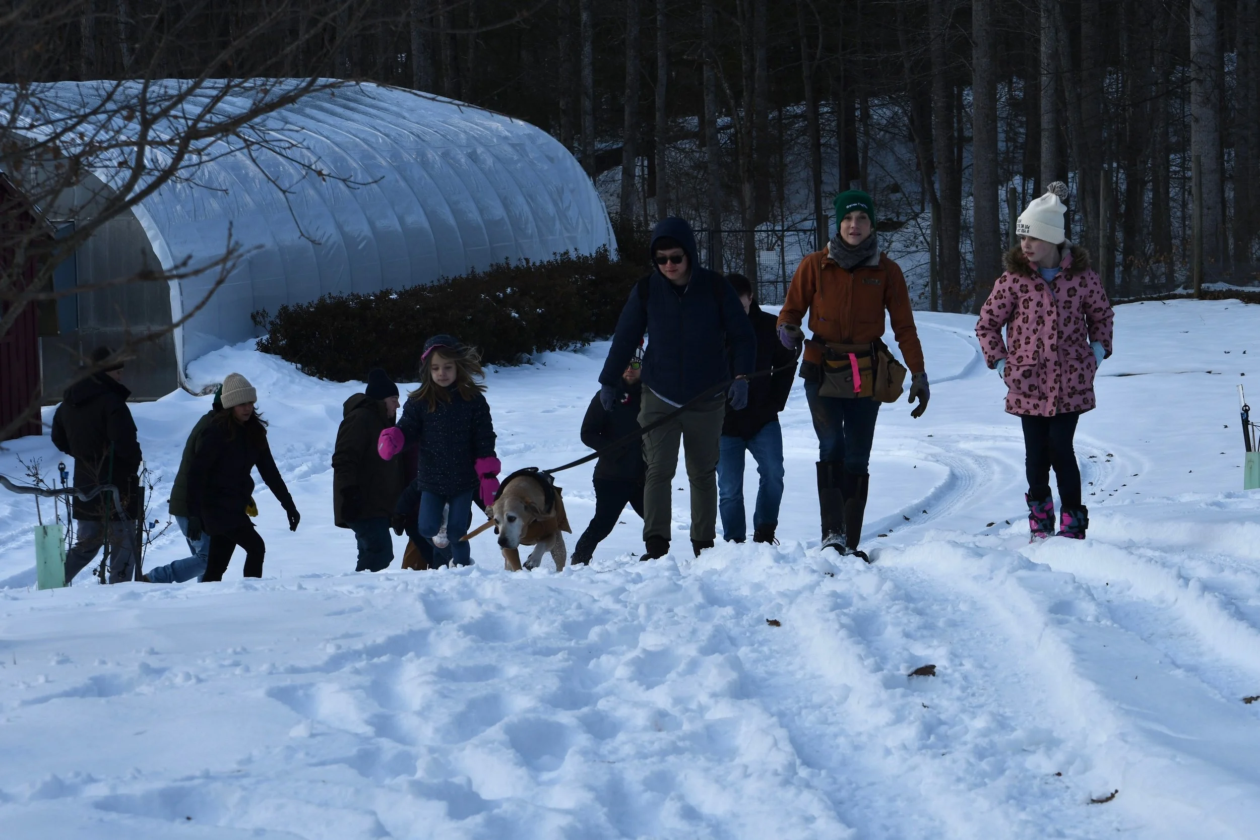 Virgina Truffles, LLC | Black Perigord Truffles