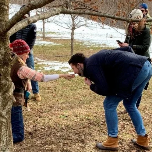 Virgina Truffles, LLC | Black Perigord Truffles