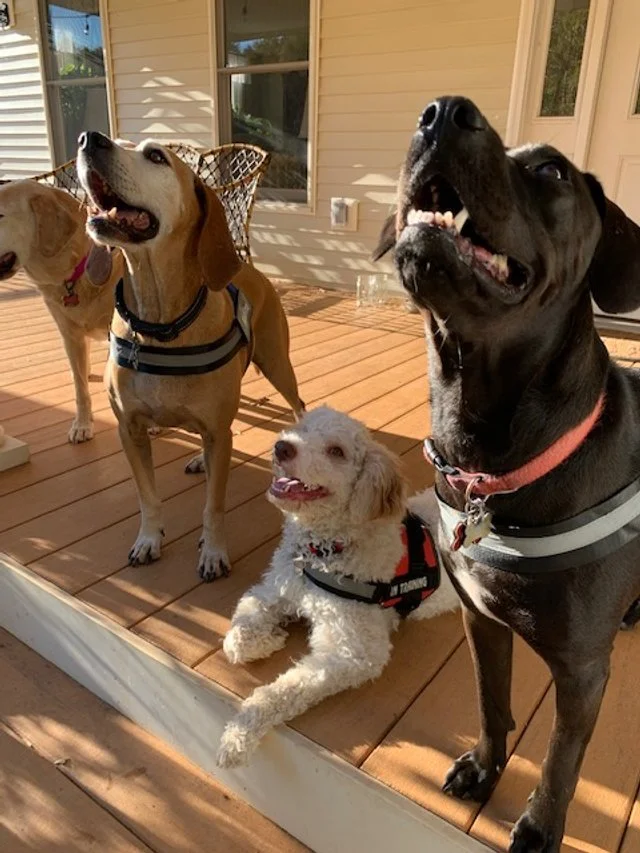 About — Virginia Truffles