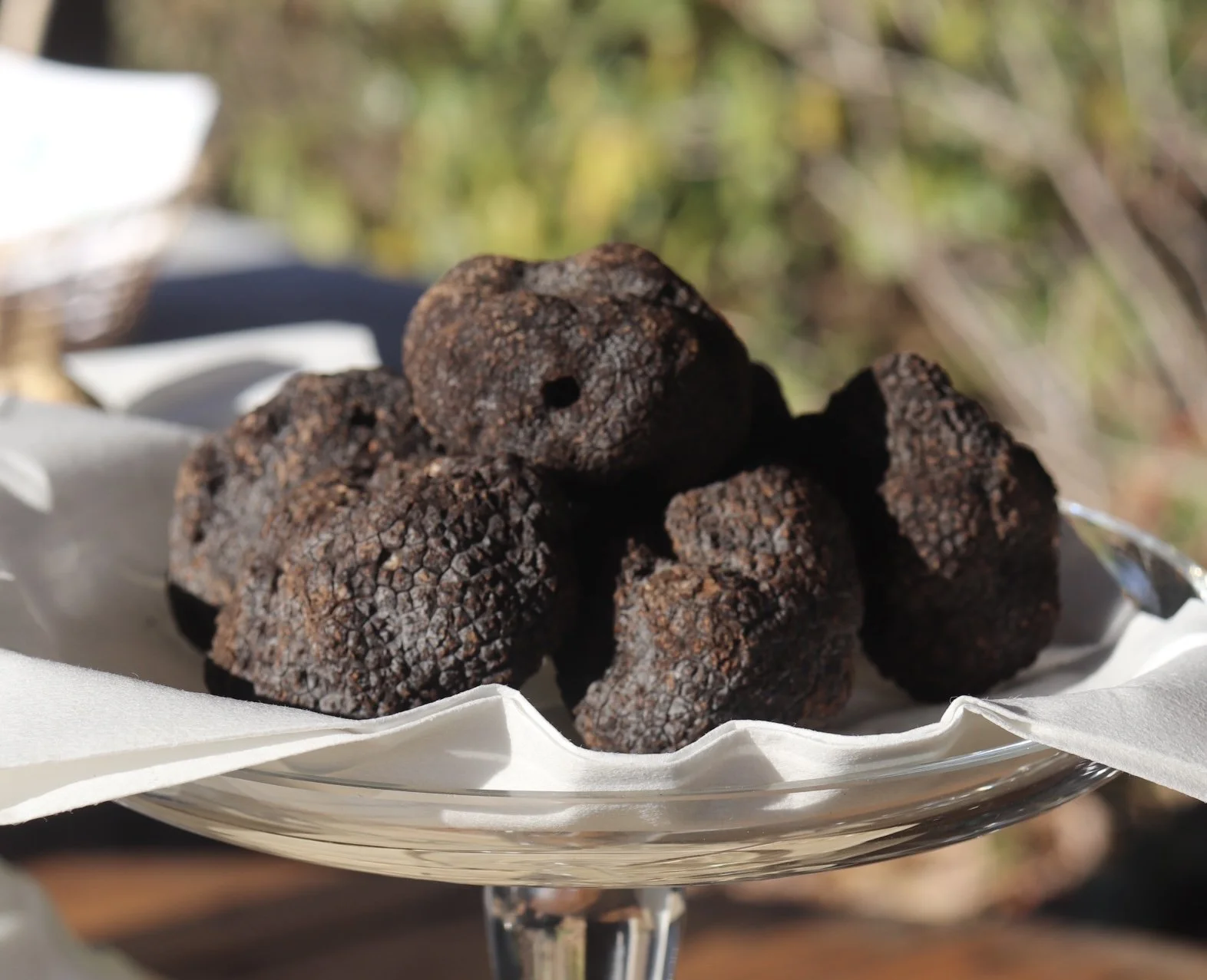 Virgina Truffles, LLC | Black Perigord Truffles