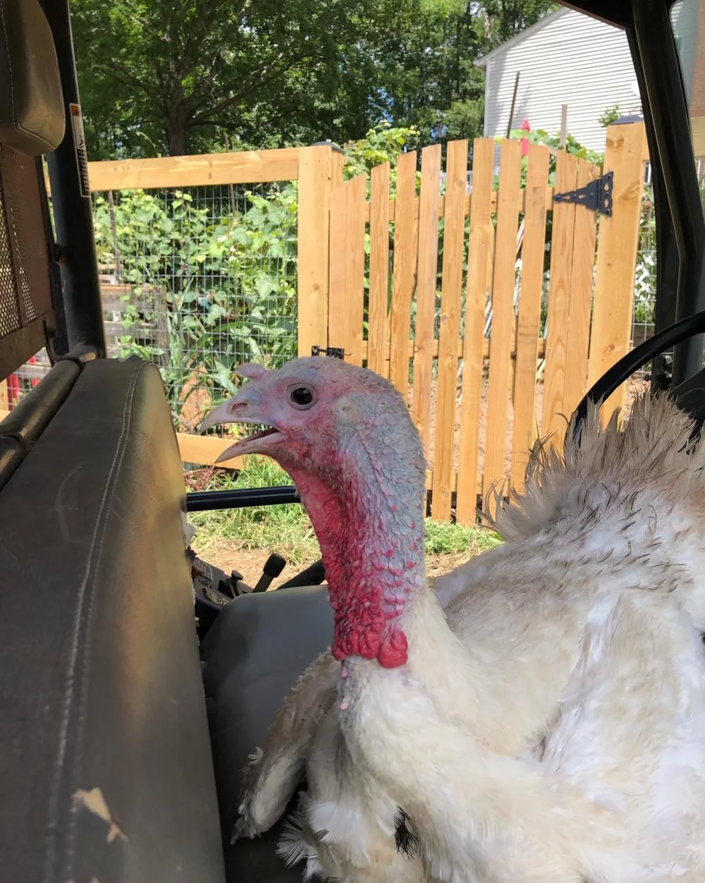 Contact — Virginia Truffles