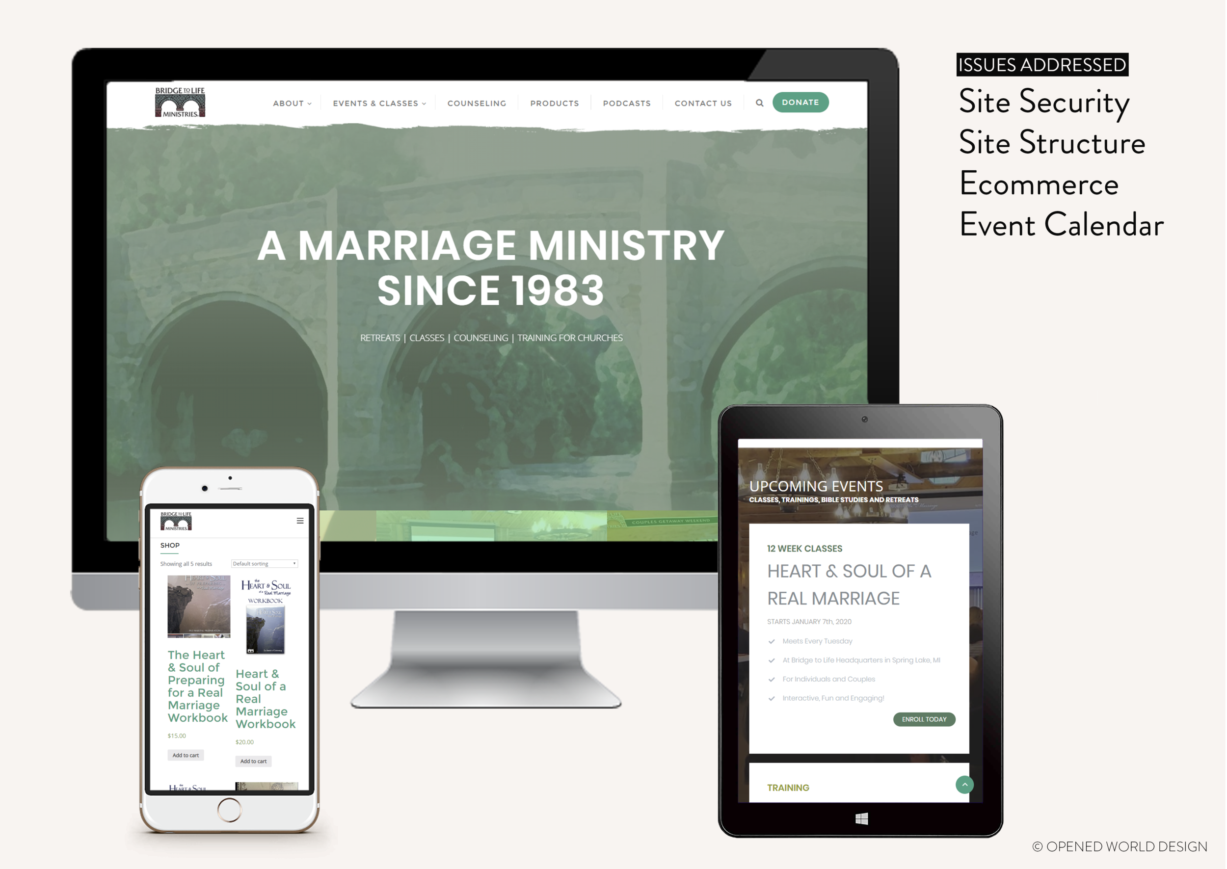 Portfolio — Opened World Design