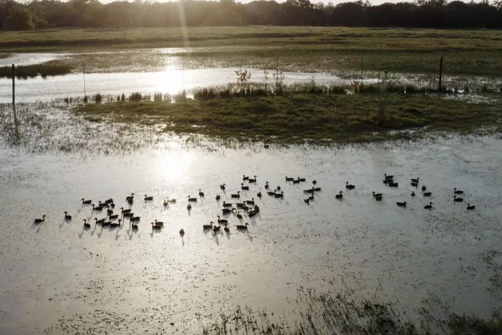 For Landowners — Coastal Prairie Conservancy