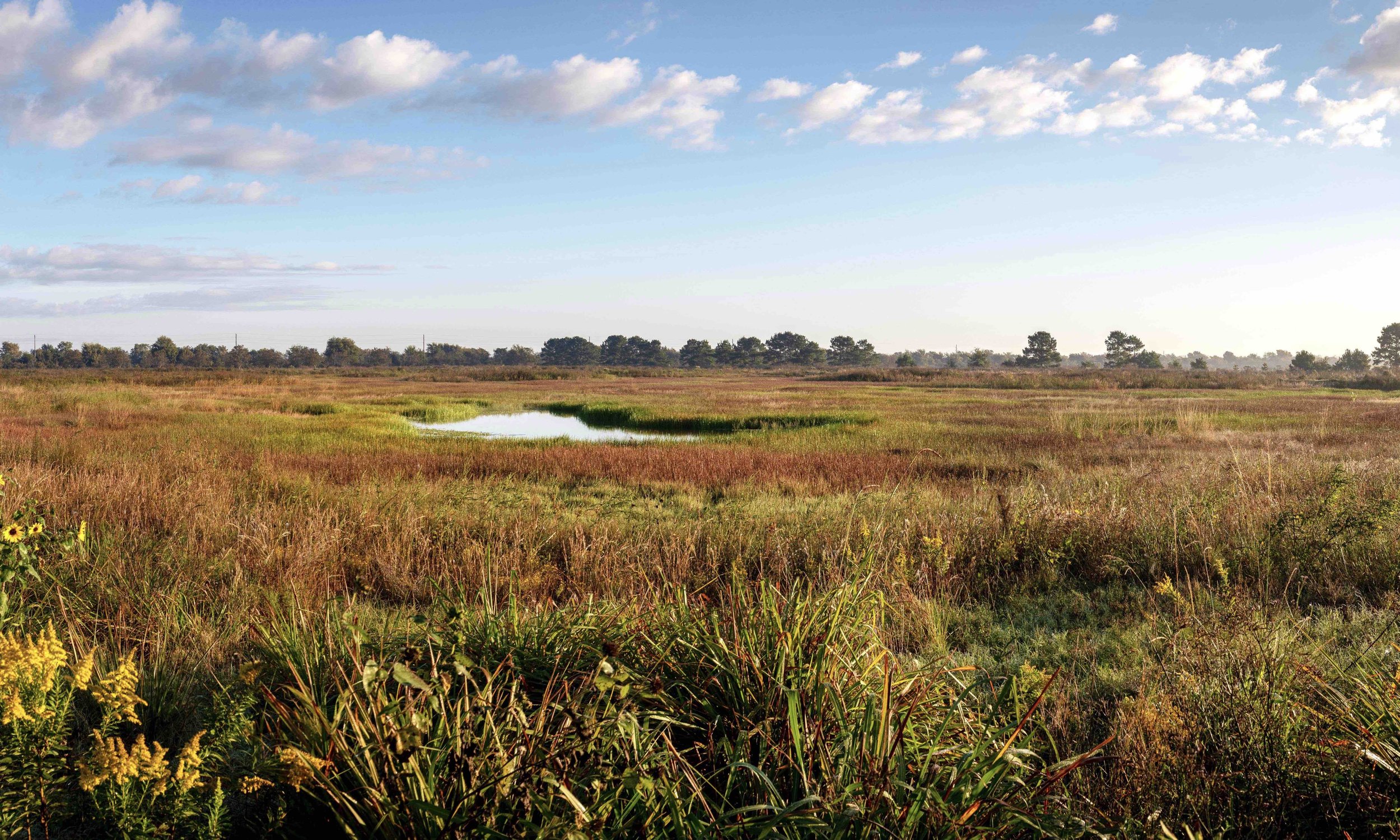 Reports — Coastal Prairie Conservancy