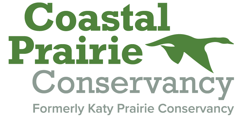 Prairie Logo