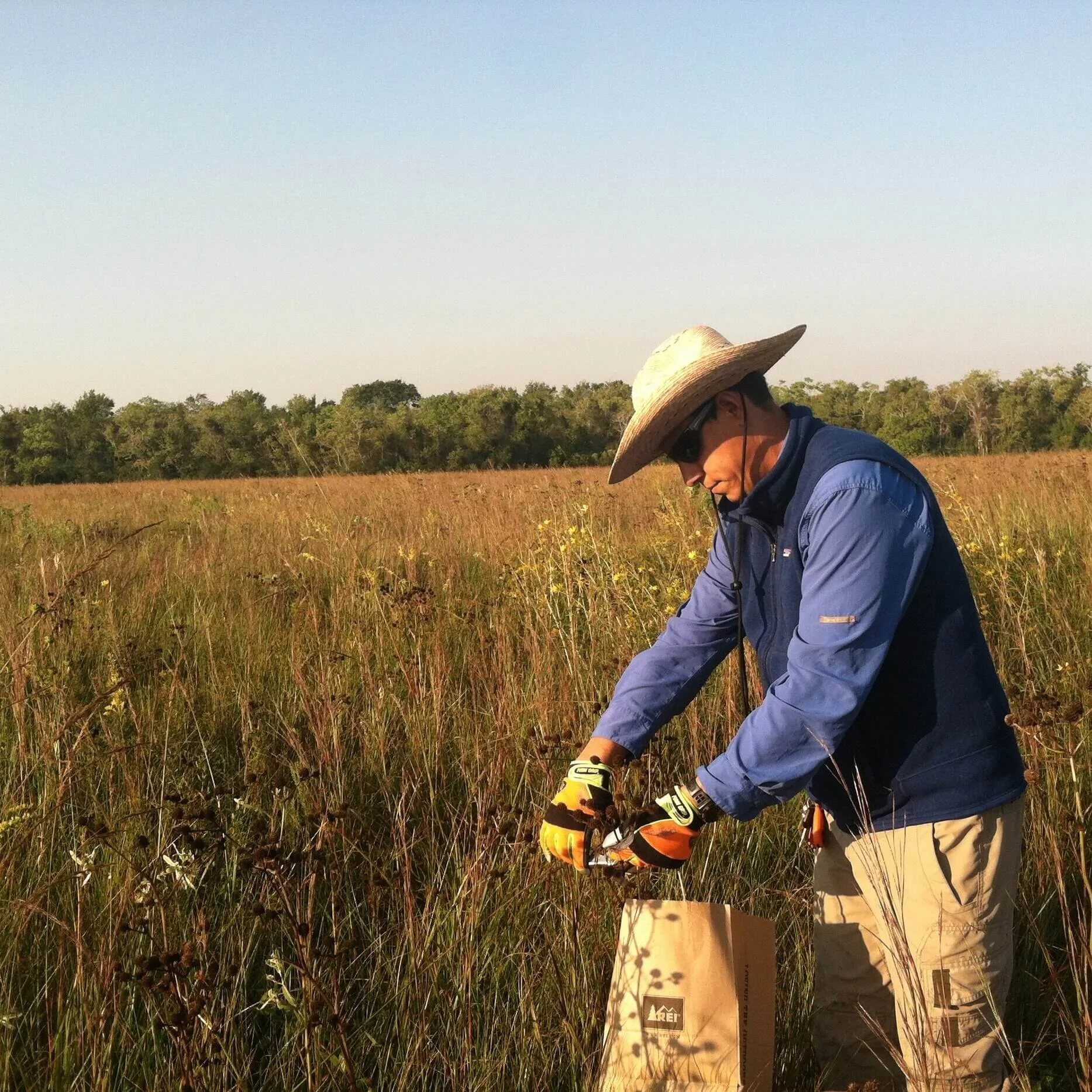 Seed Collecting — Coastal Prairie Conservancy