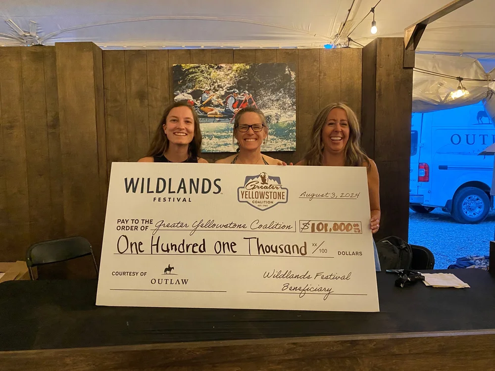 Wildlands Music Festival Raises Crucial Funds for the Greater ...