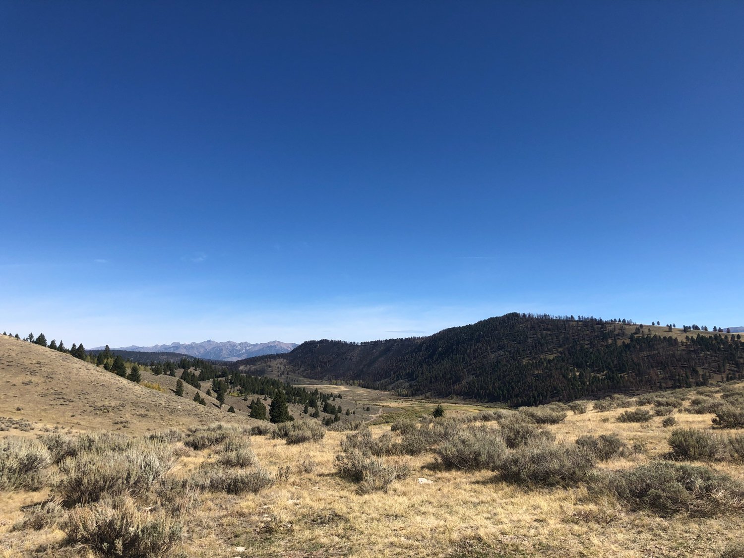 Range riding in Montana's wild Centennial Valley — Greater Yellowstone ...