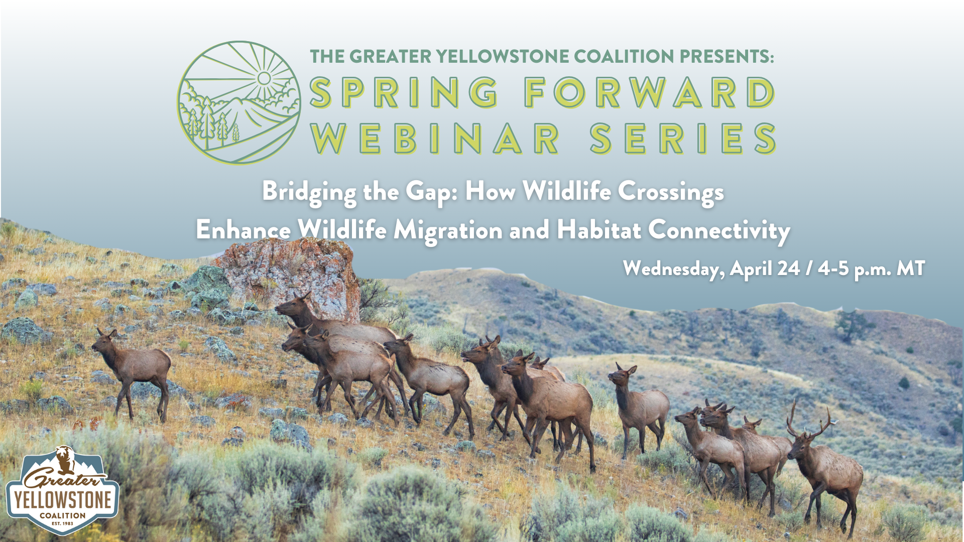 Bridging the Gap: How Wildlife Crossings Enhance Wildlife Migration and ...