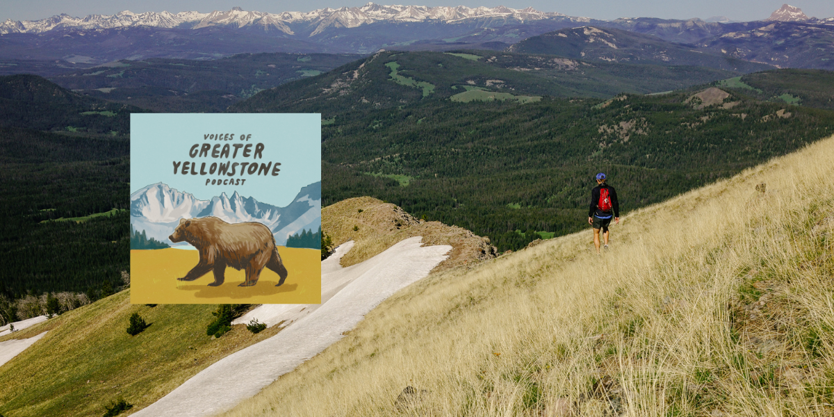 Voices of Greater Yellowstone Podcast | Conservation Stories ...
