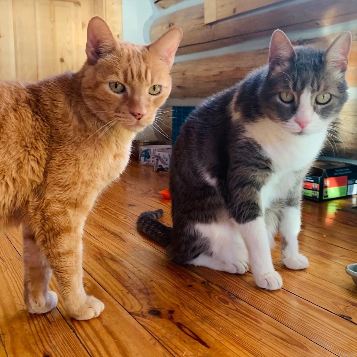 Greater Yellowstone Coalition Staff — Greater Yellowstone Coalition